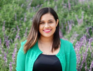 Your Logistics Team – Global Team | Vector Global Logistics